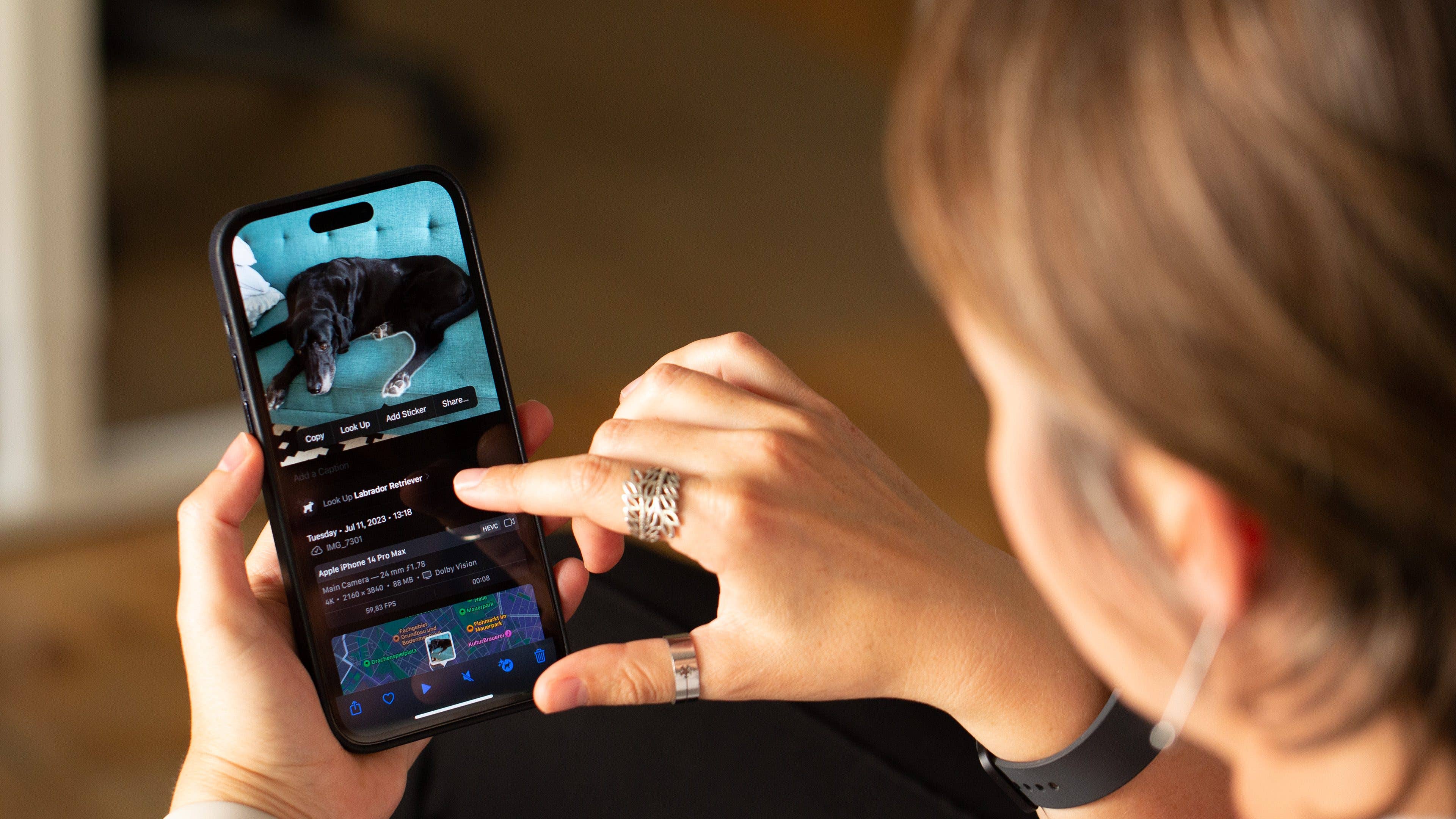 How to Use Visual Look Up and Identify Objects in Videos and Photos on ...